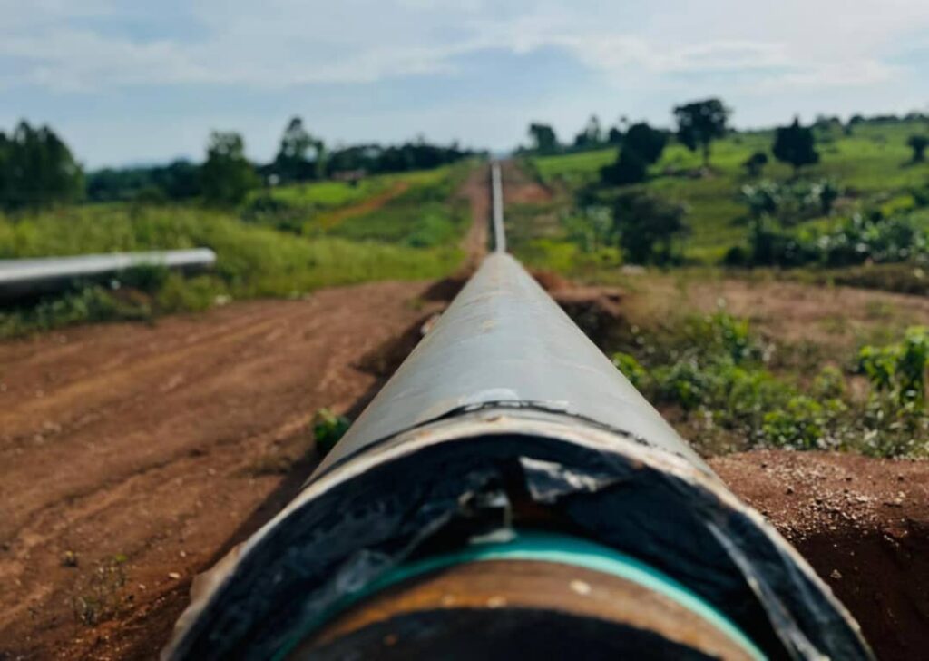 Stop EACOP: When a Pipeline Threatens Life, Biodiversity, and the ...